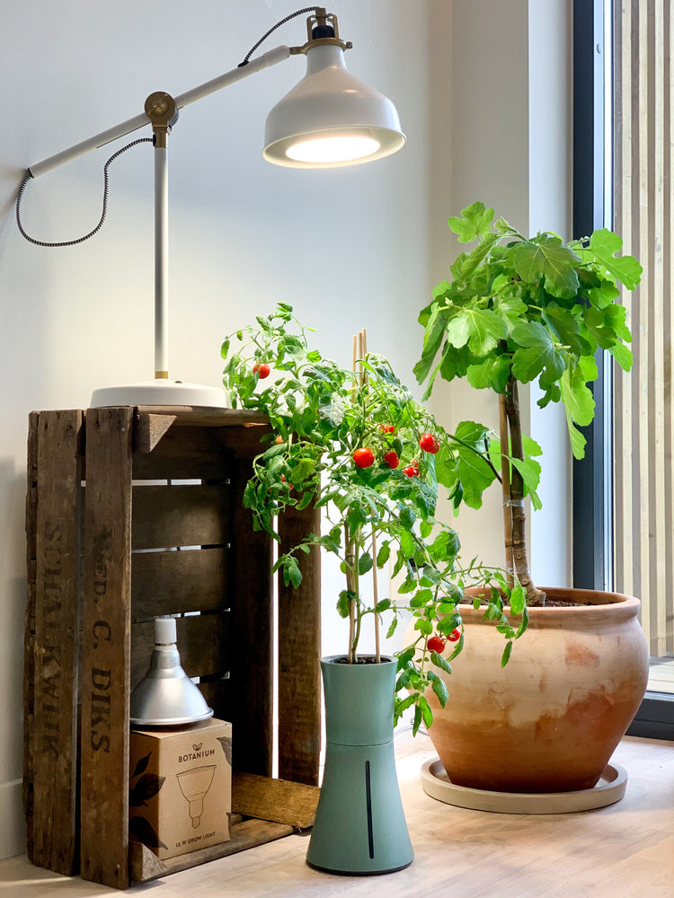 Hur det fungerar – Botanium