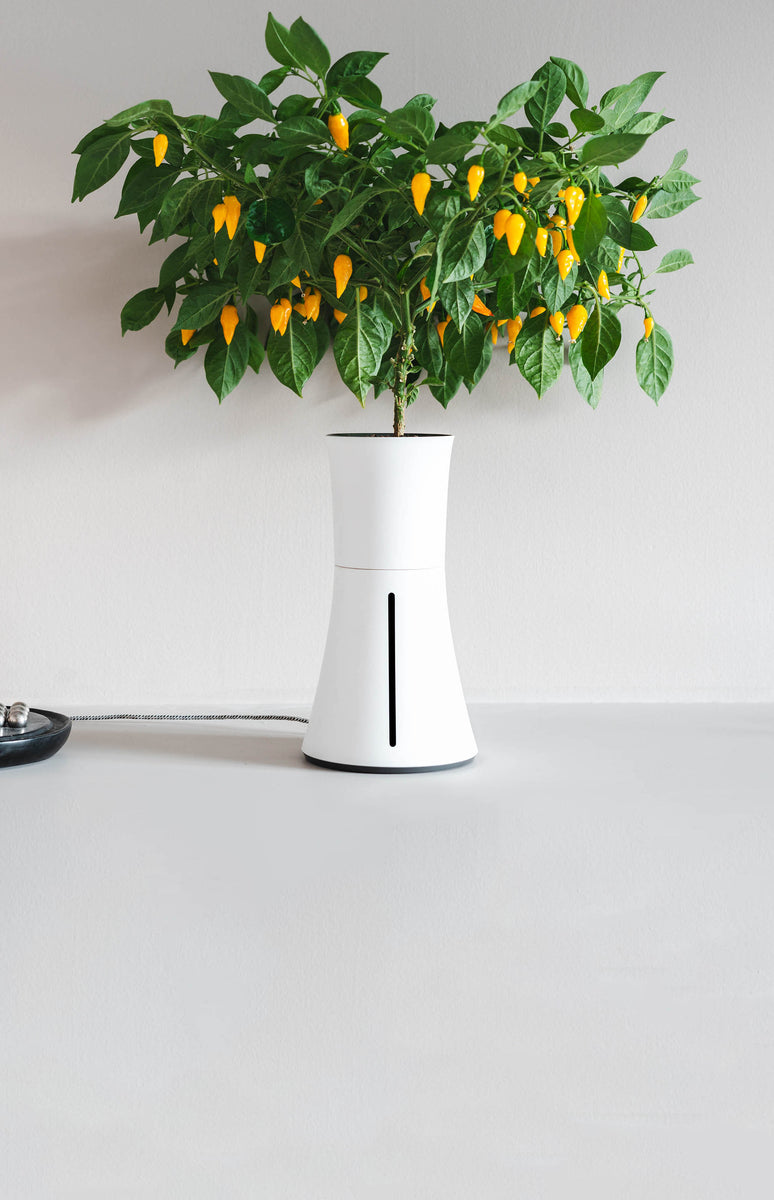 Botanium - bättre än gröna fingrar